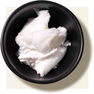 Each & Every Deodorant Ingredients | View Our Formula – Each & Every ...