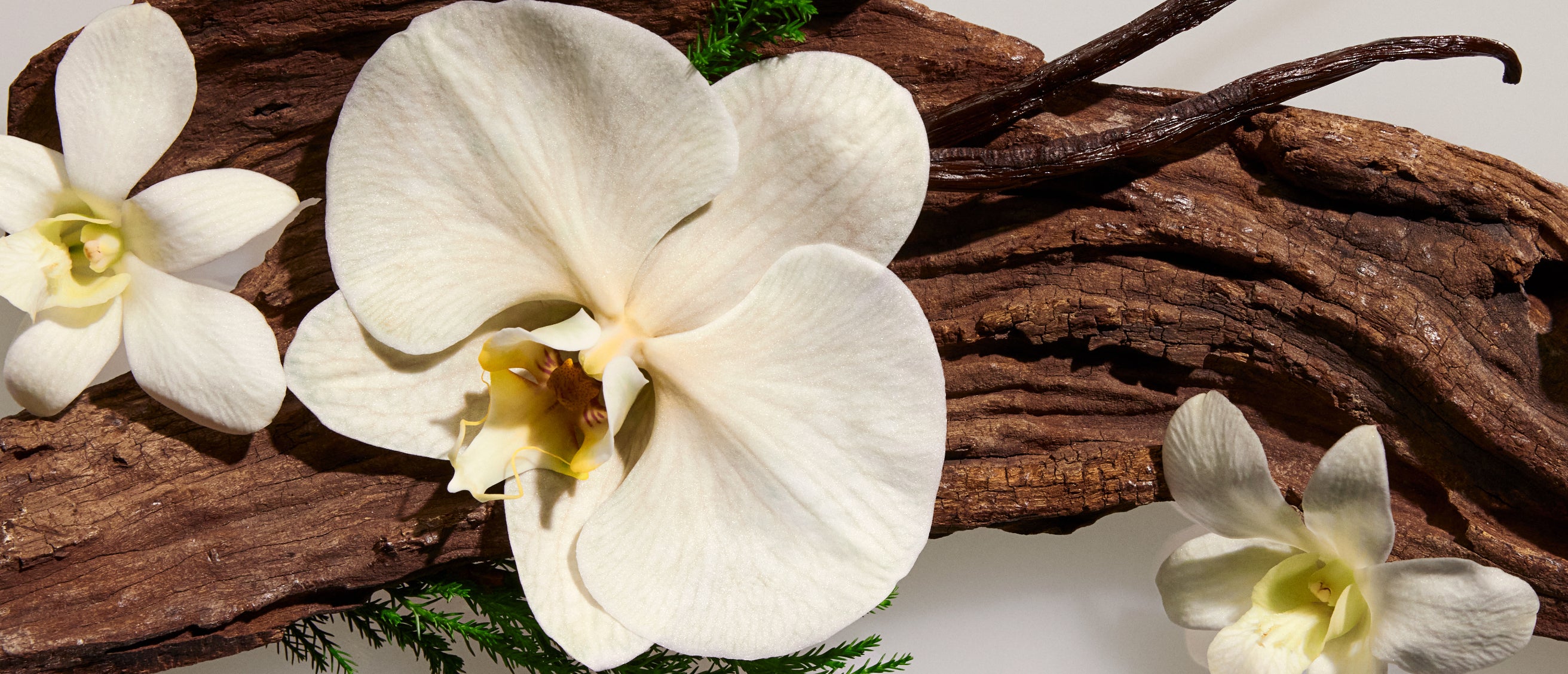 Each & Every Deodorant Ingredients | View Our Formula – Each & Every ...
